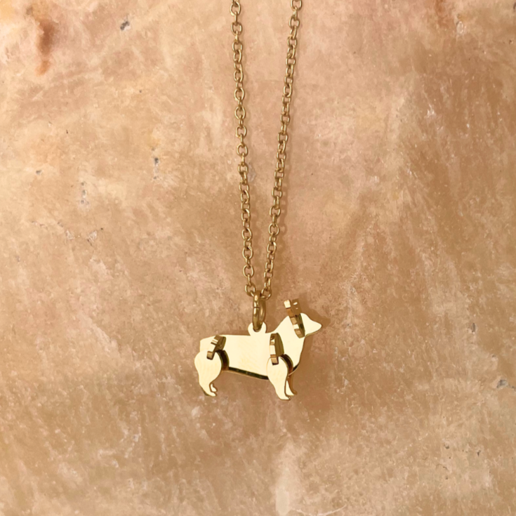 CHARMED || Dog– A R M E D