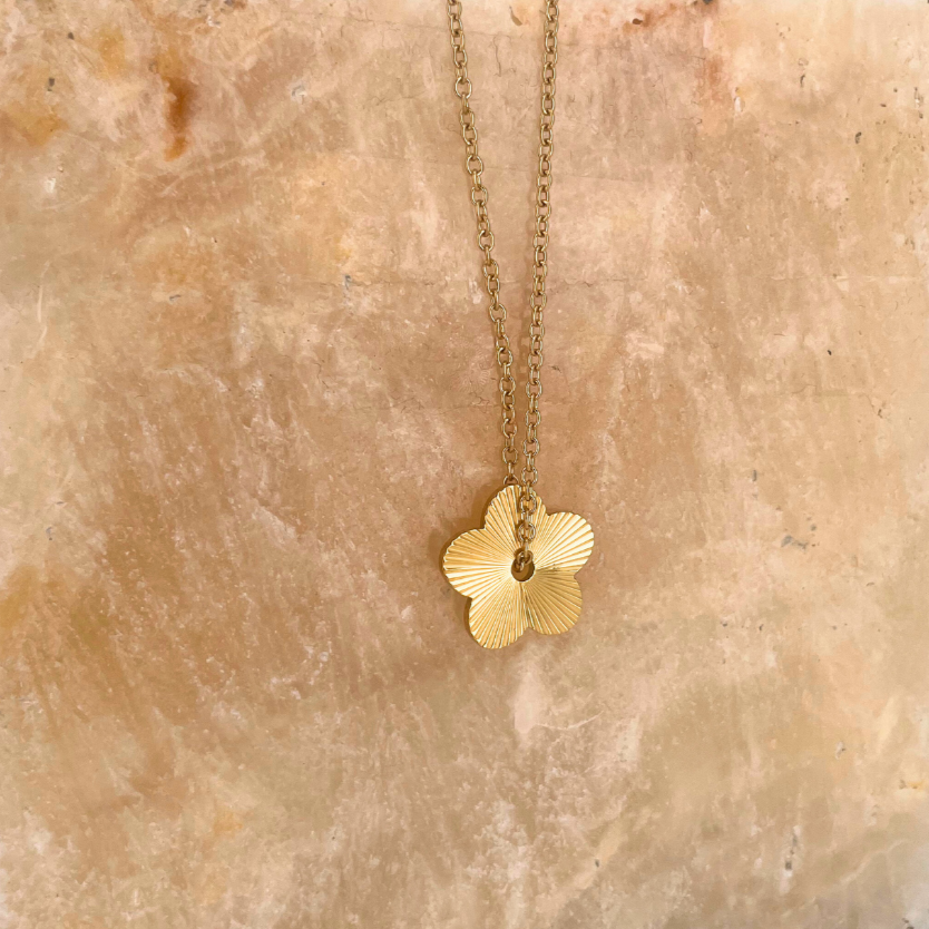 CHARMED || Daisy– A R M E D